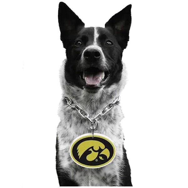 Iowa Hawkeyes Pet Chain