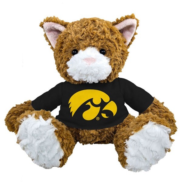 Iowa Hawkeyes Scratch Cat